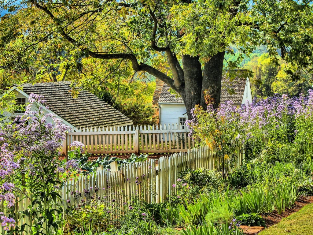 Best Sensory Garden Plants: Enrich your Outdoor Experience